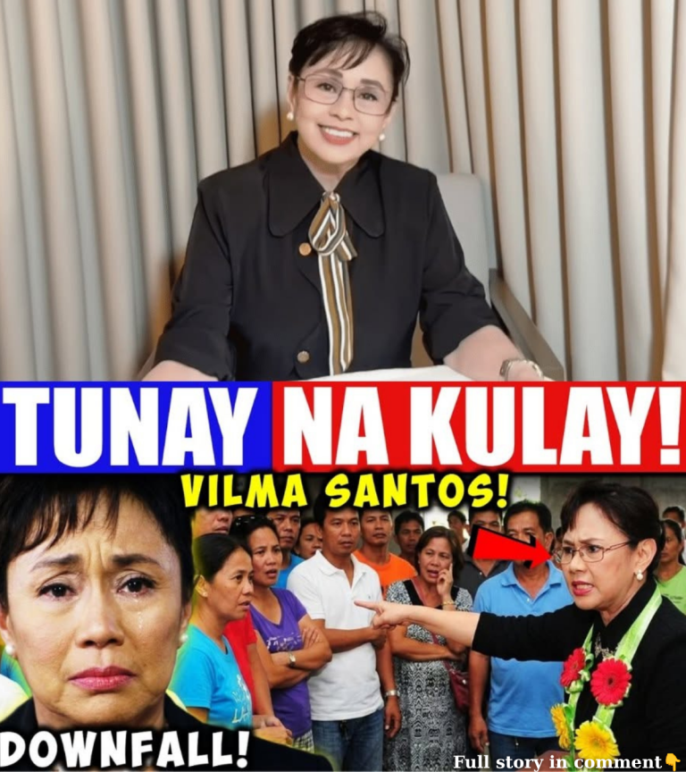 VILMA DOWNFALL! The True Colors and Personality of Vilma Santos